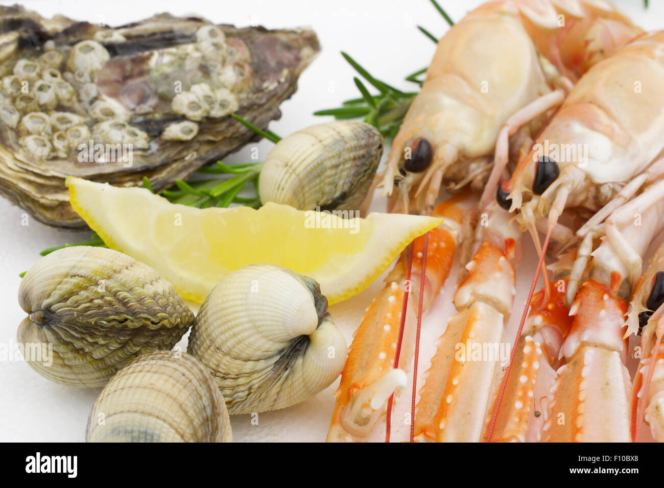 Raw seafood cocktail fresh mix Stock Photo - Alamy