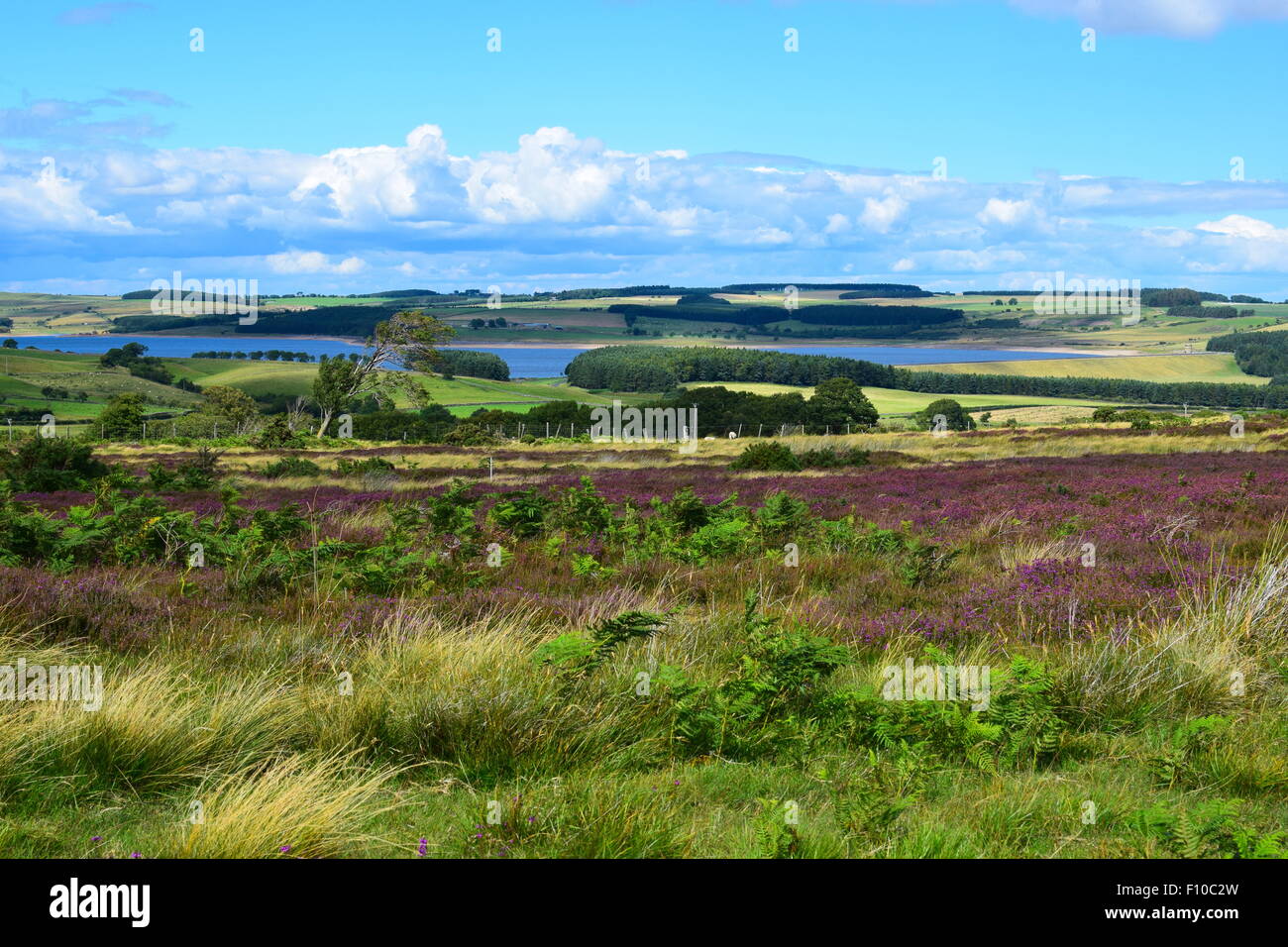 Durham moors hi-res stock photography and images - Alamy