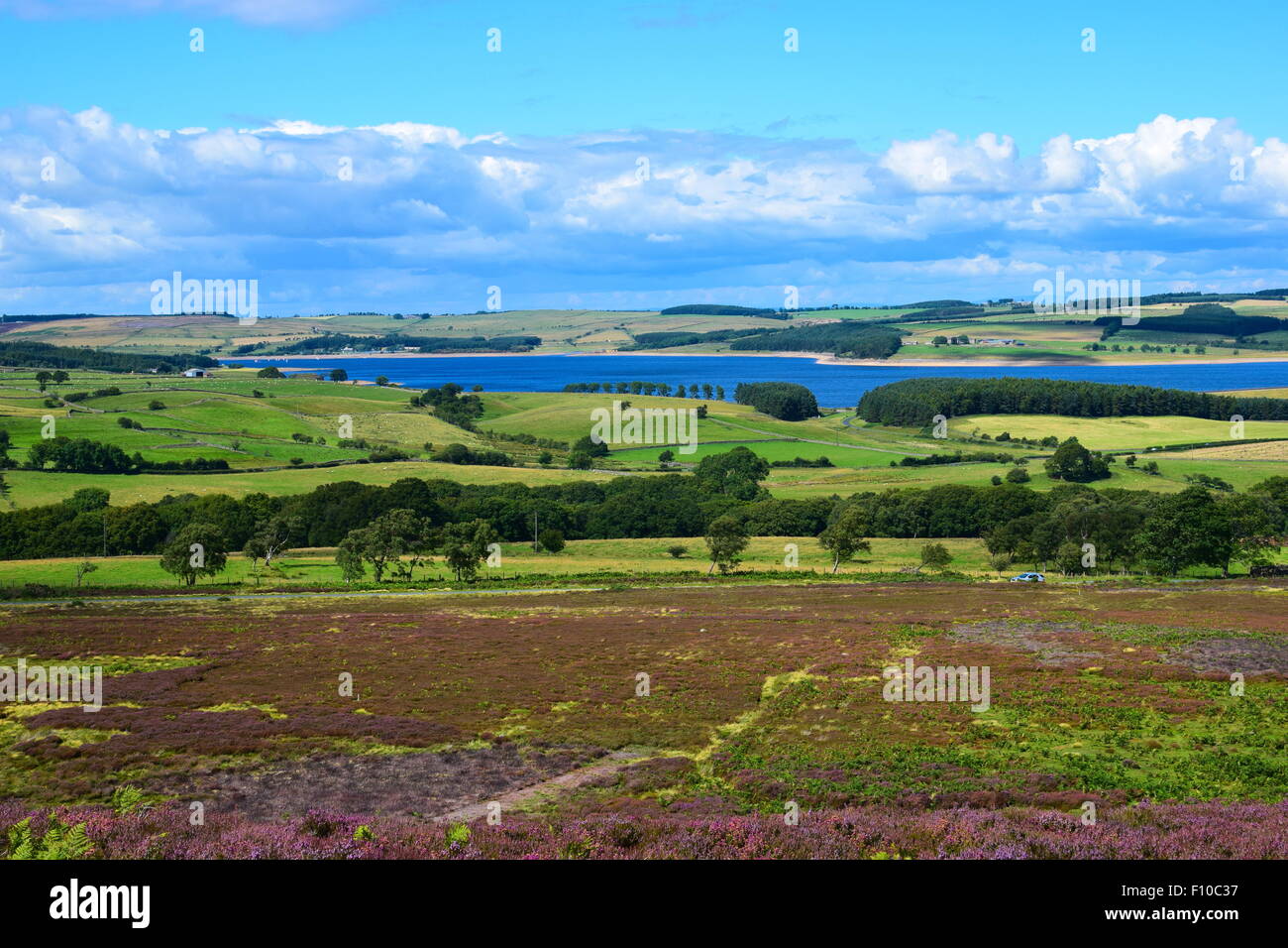 View over the moors towards Derwent Reservoir, County Durham, England ...