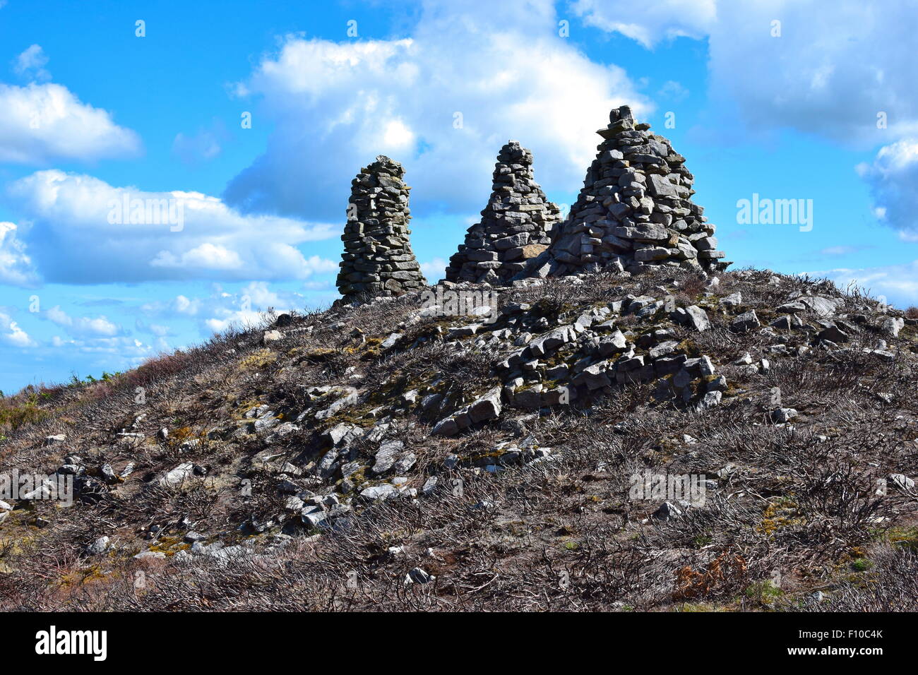 The 3 Curricks, 3 cairns in Muggleswick Park, overlooking Derwent ...