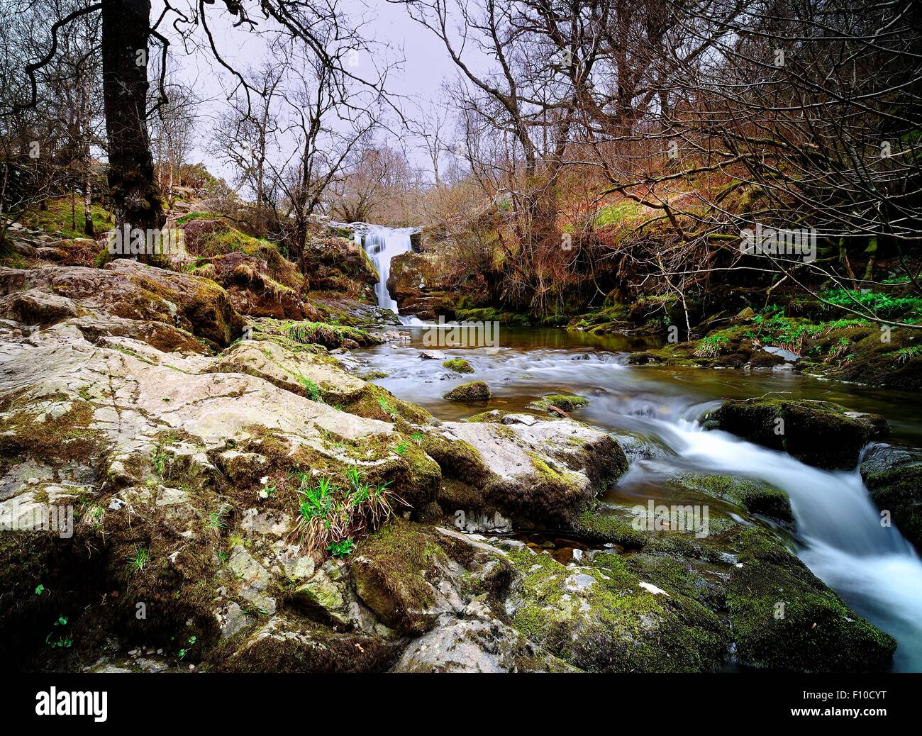 Spring at High Force Stock Photo - Alamy