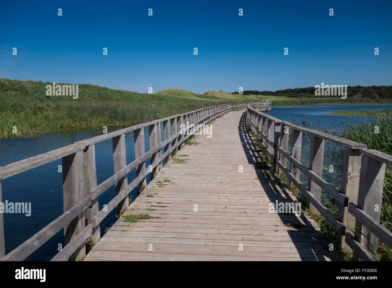 Cavendish Dunelands Trail PEI "Prince Edward Island" Canada Stock Photo ...