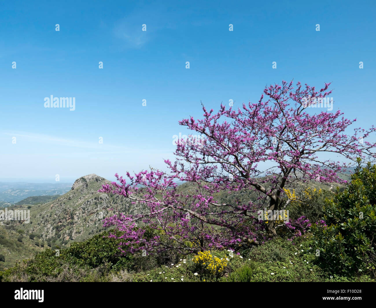 Greece crete village countryside hi-res stock photography and images ...