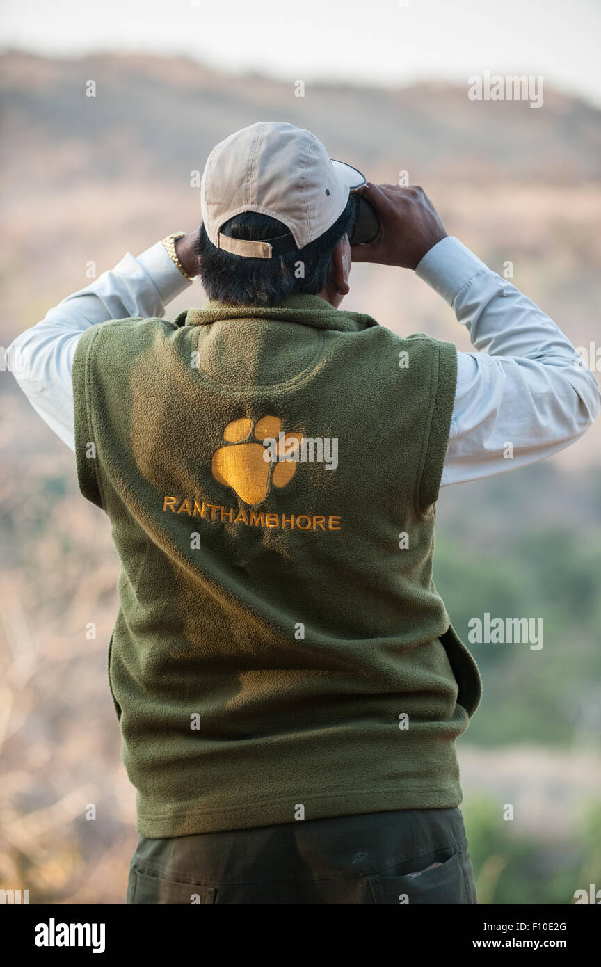 Rajasthan, India. Ranthambore National Park. Ranger with cap binoculars ...