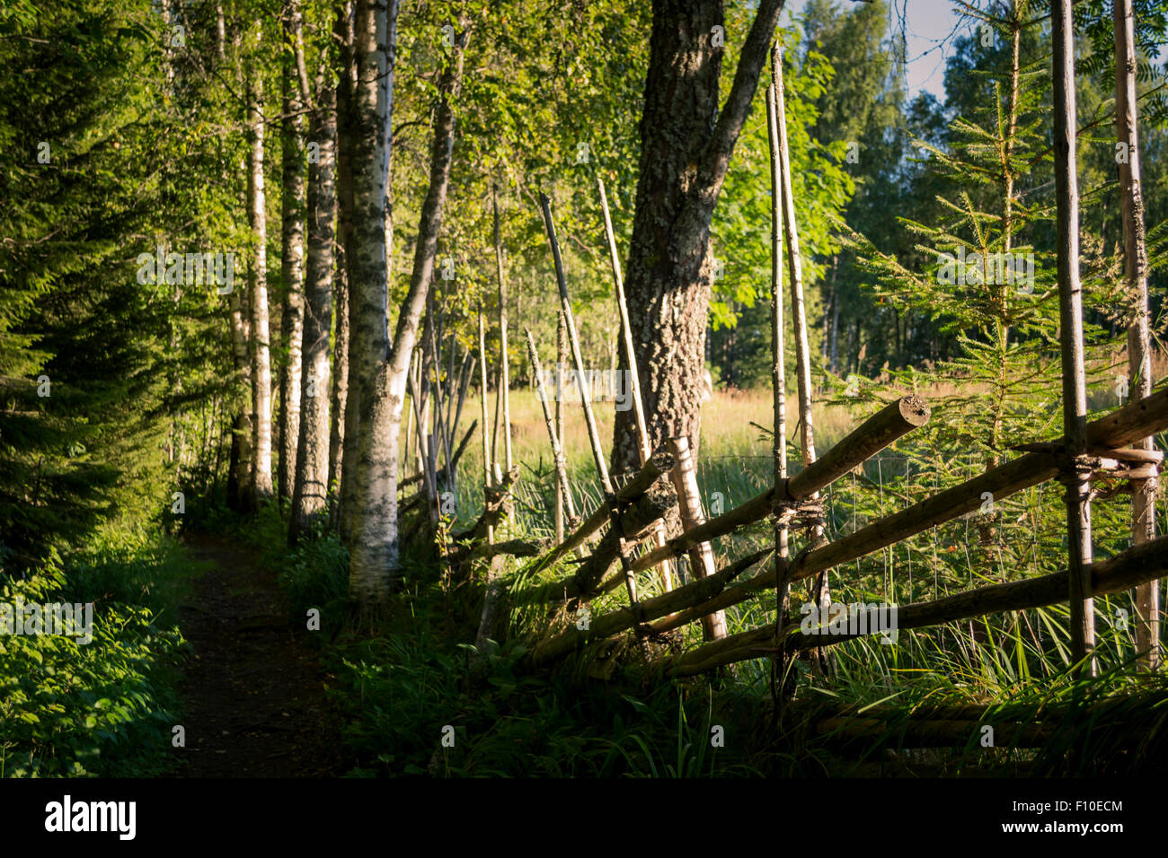 Birch fence hi-res stock photography and images - Alamy