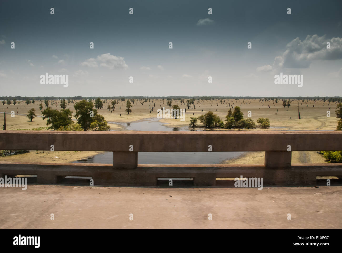 Flat swamp hi-res stock photography and images - Alamy