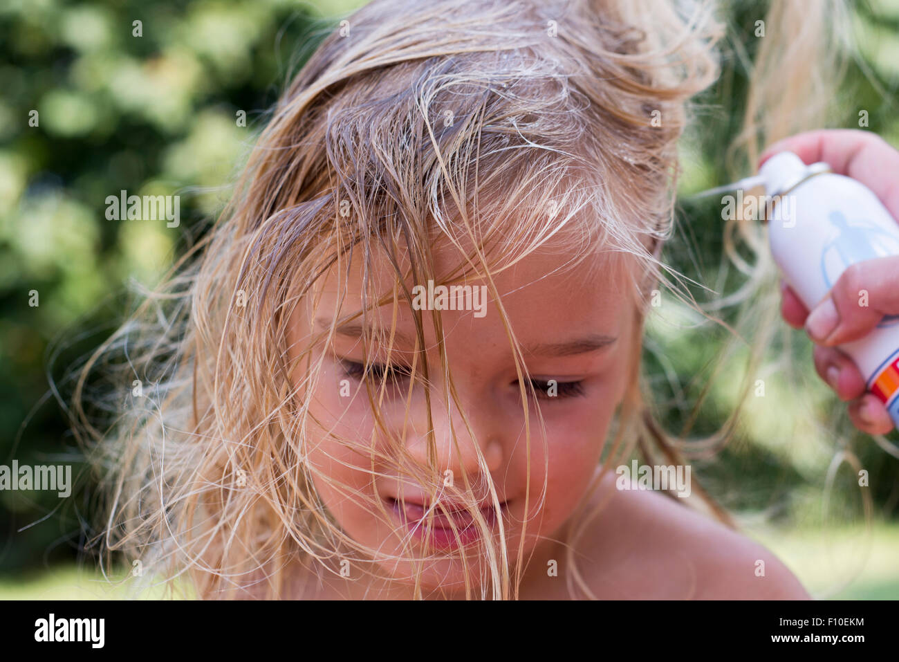 TREATMENT FOR SUCKING LICE - child little blond girl hair with lice ...