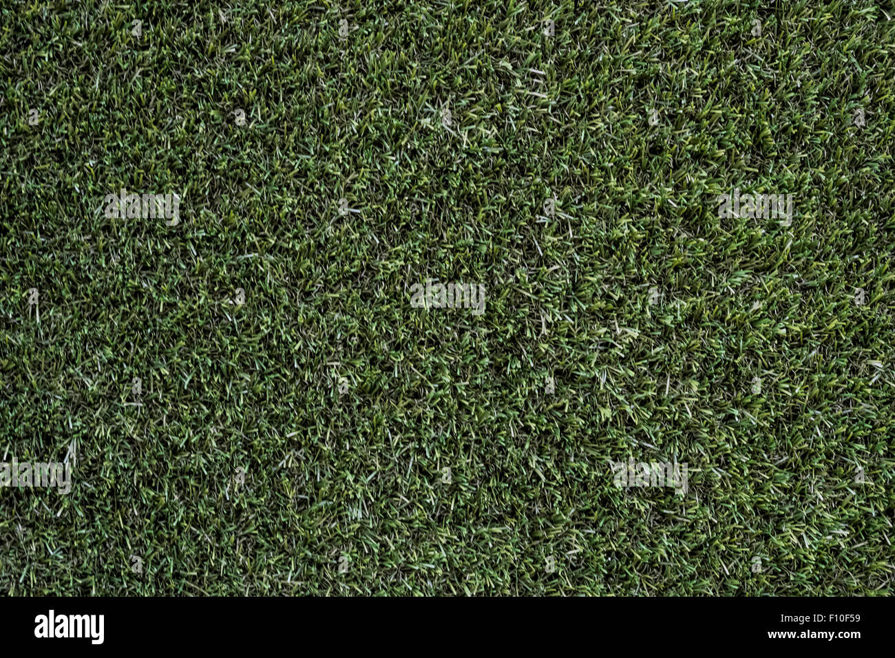 A background image close up of a turf grass wall Stock Photo - Alamy