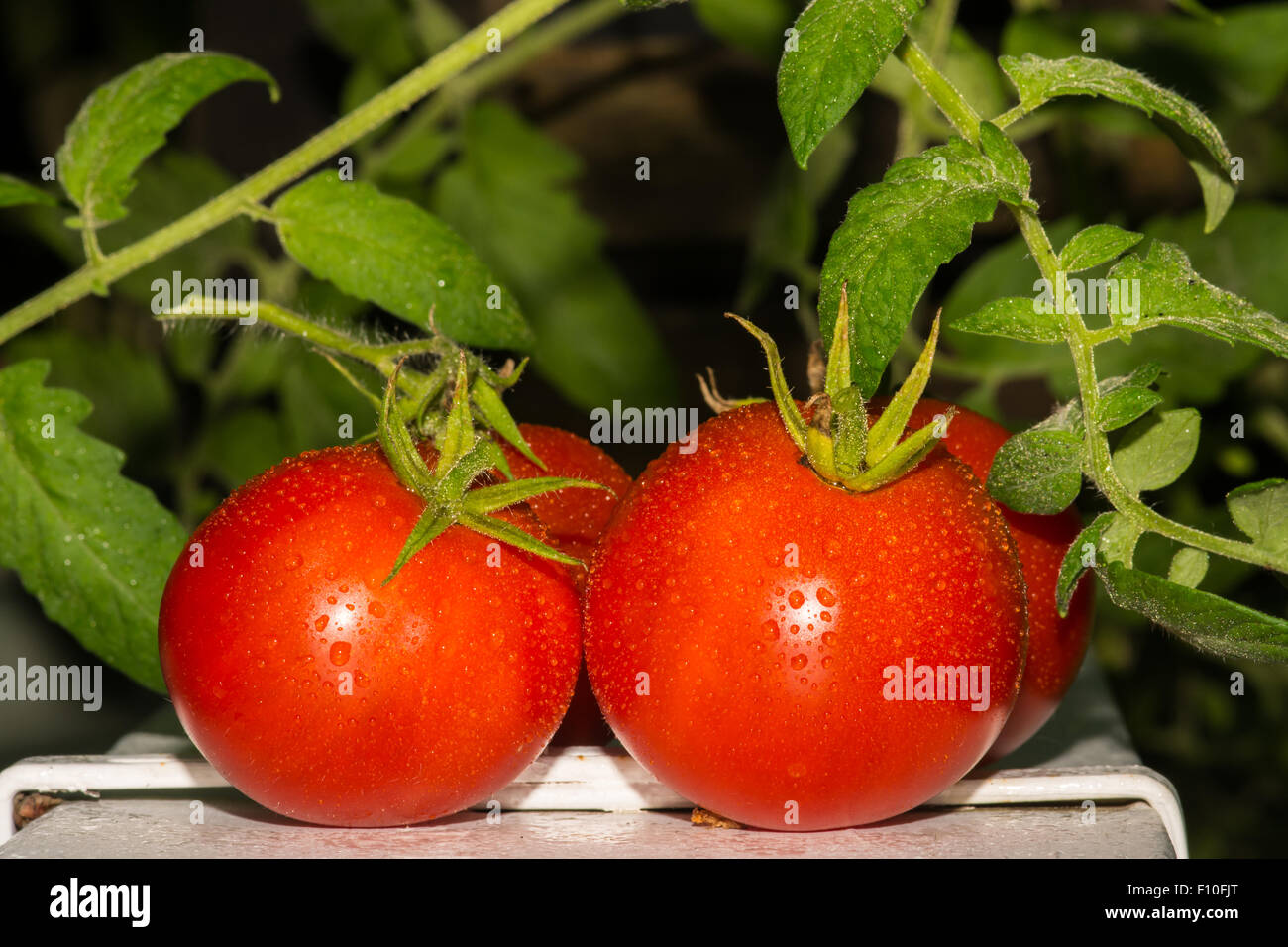 Fresh antioxidants freshness hi-res stock photography and images - Alamy