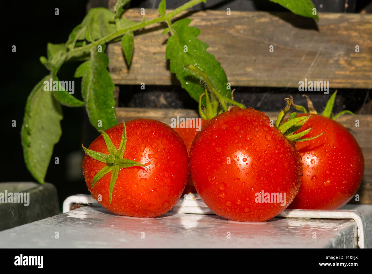 Fresh farm to table hi-res stock photography and images - Alamy