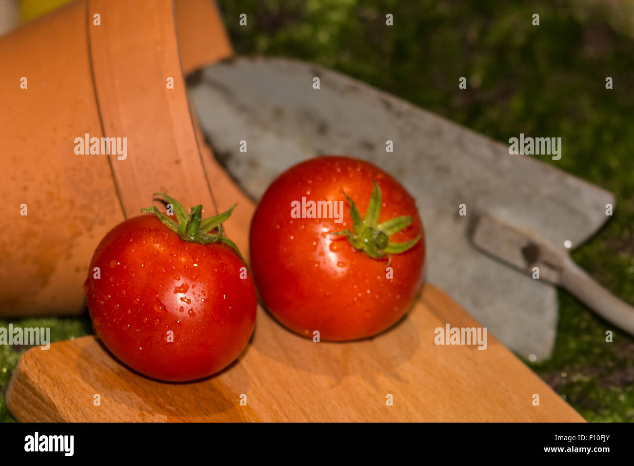Fs for food hi-res stock photography and images - Alamy