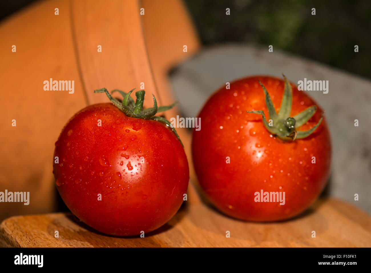 Good tomatoes hi-res stock photography and images - Alamy