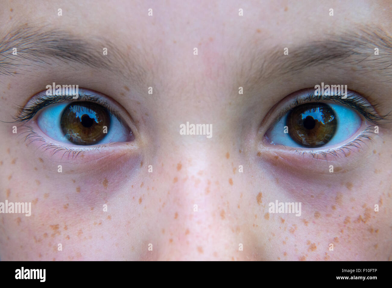 Close up of child girl's brown eyes, freckles, freckle Stock Photo - Alamy