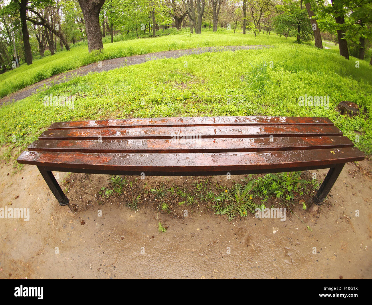 Bench in the park just after a spring rain with wide angle distortion ...