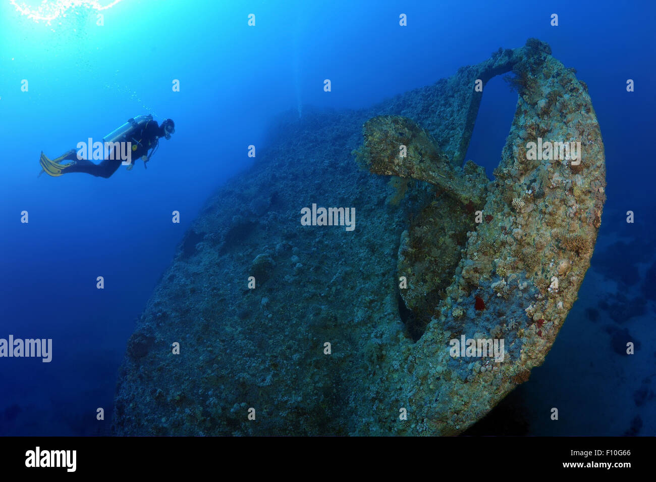 Red Sea, Egypt. 15th Oct, 2014. shipwreck ''SS Dunraven'', Red Sea ...