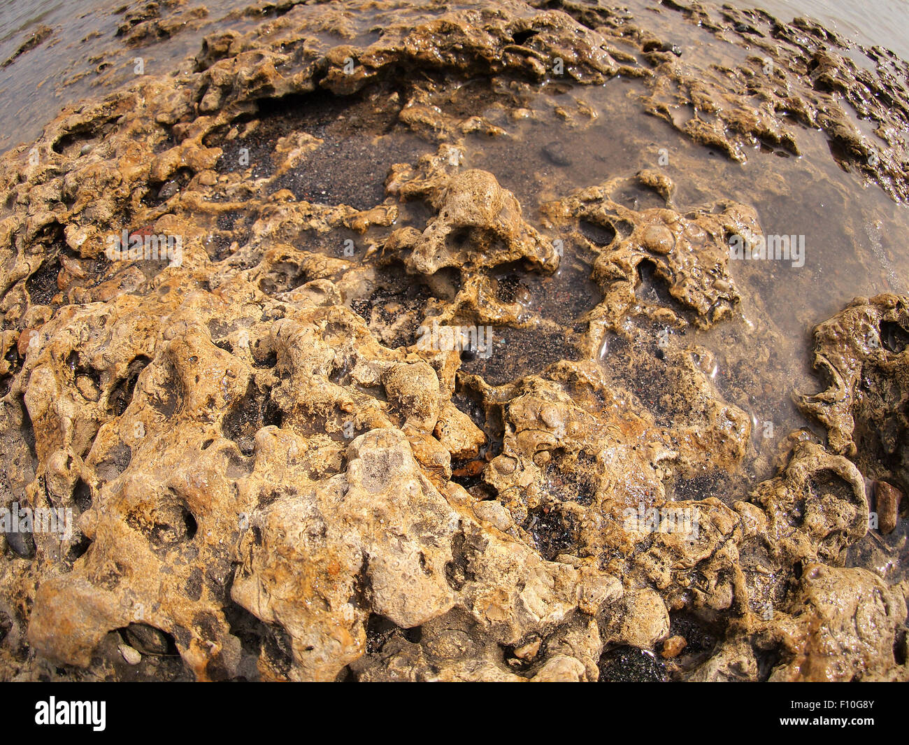 Distortion of nature hi-res stock photography and images - Alamy