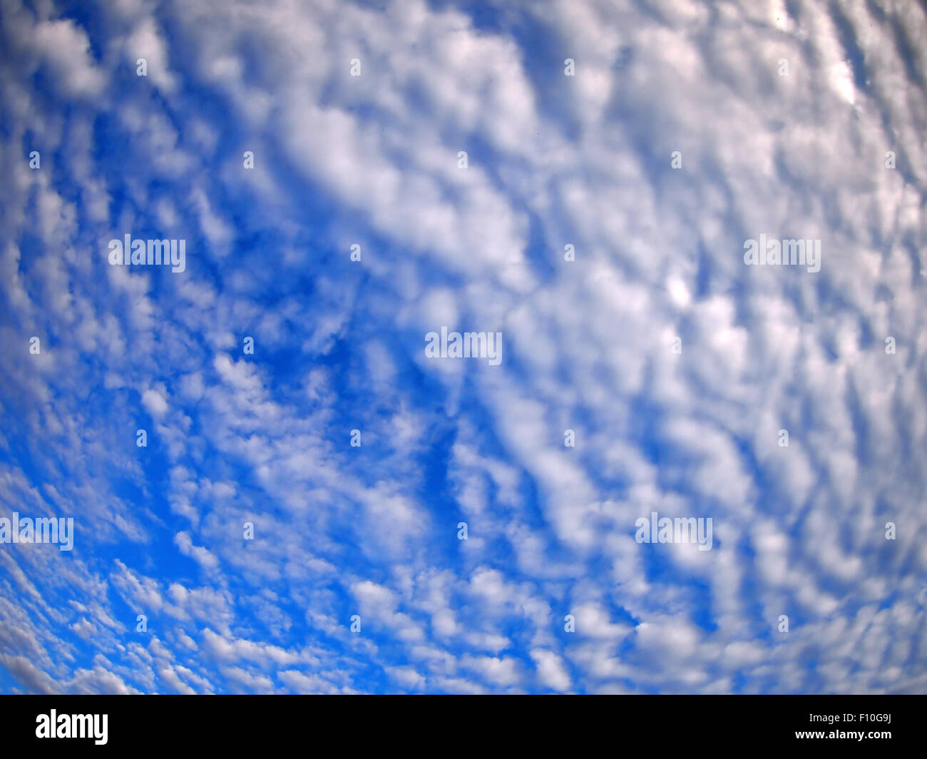 Dense stratus clouds against the blue sky with wide angle fisheye lens ...