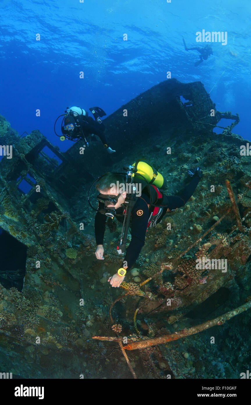 Red Sea, Egypt. 15th Oct, 2014. Diver looking at shipwreck ''SS ...