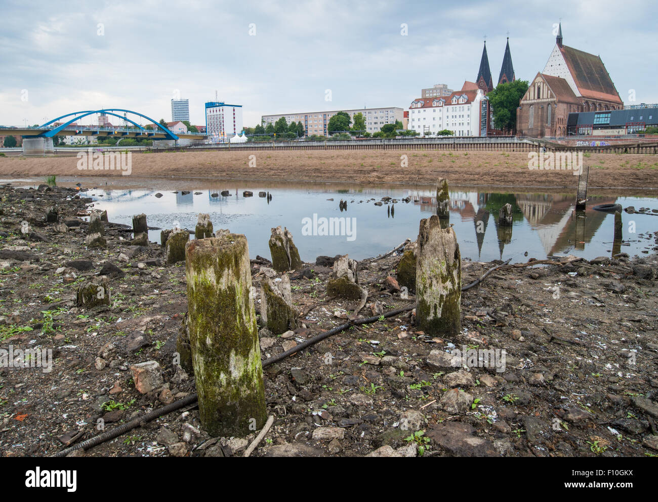 Slubice, Poland. 24th Aug, 2015. Wooden pillars protrude from the dried ...