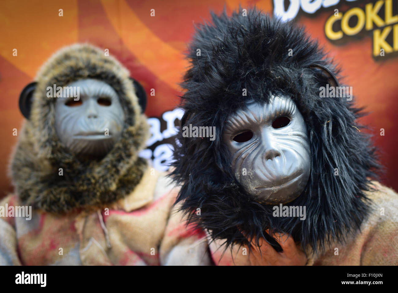 Men in ape costumes during public carnival: Festival Sarongge 2015 in ...