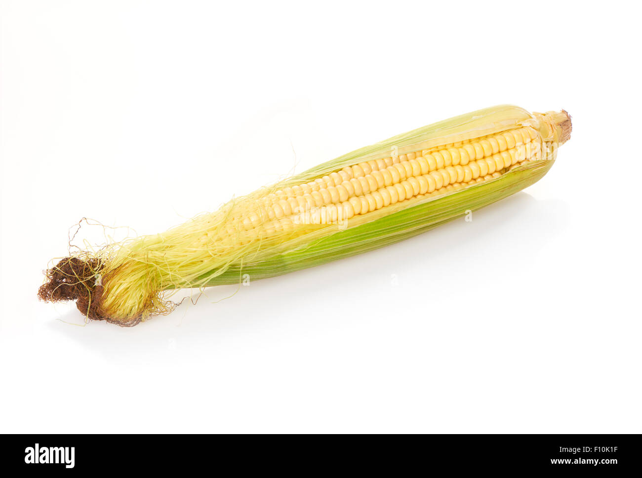 Ear of corn isolated on white background Stock Photo - Alamy
