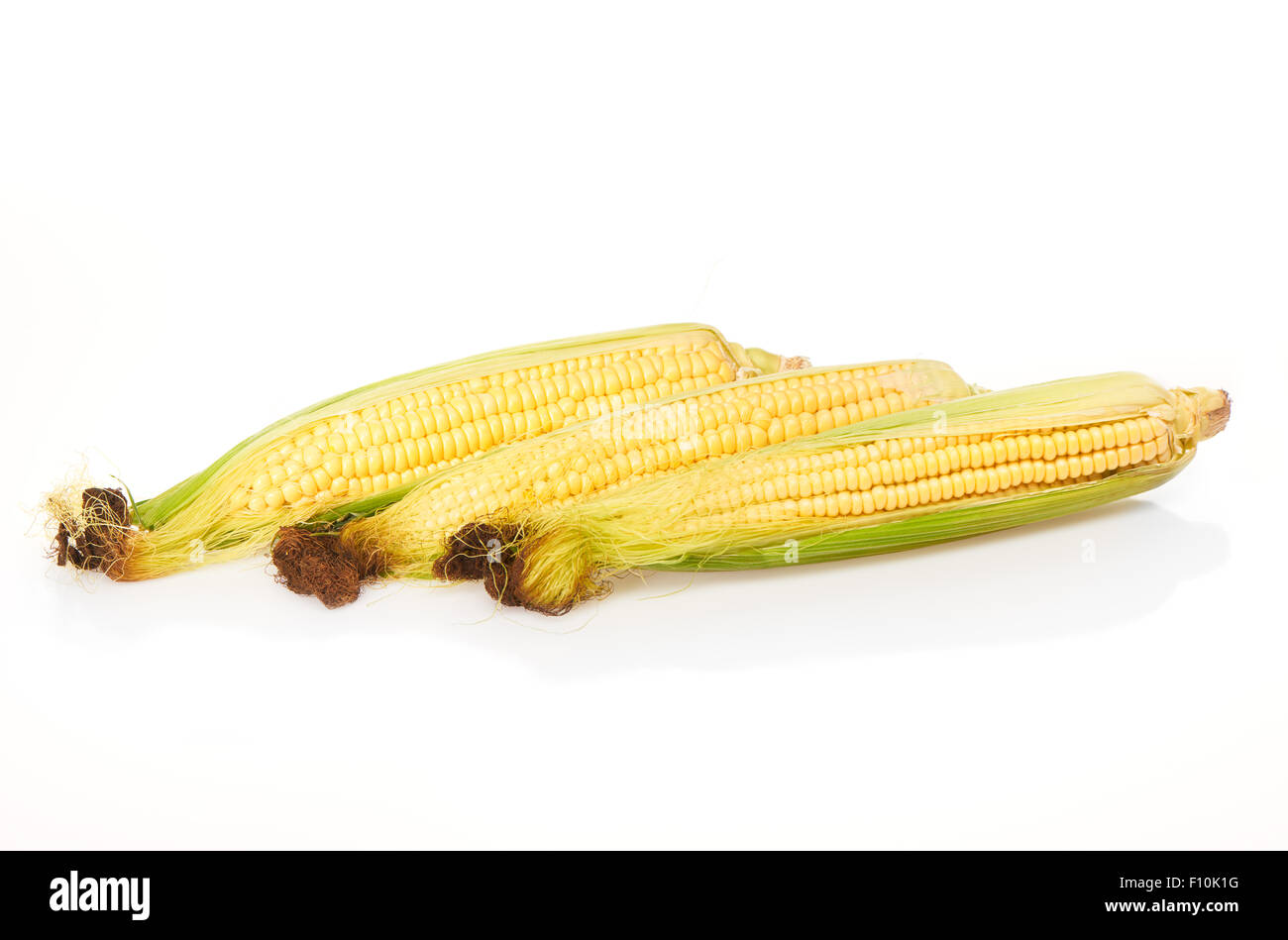 Three ears of corn isolated on white background Stock Photo - Alamy
