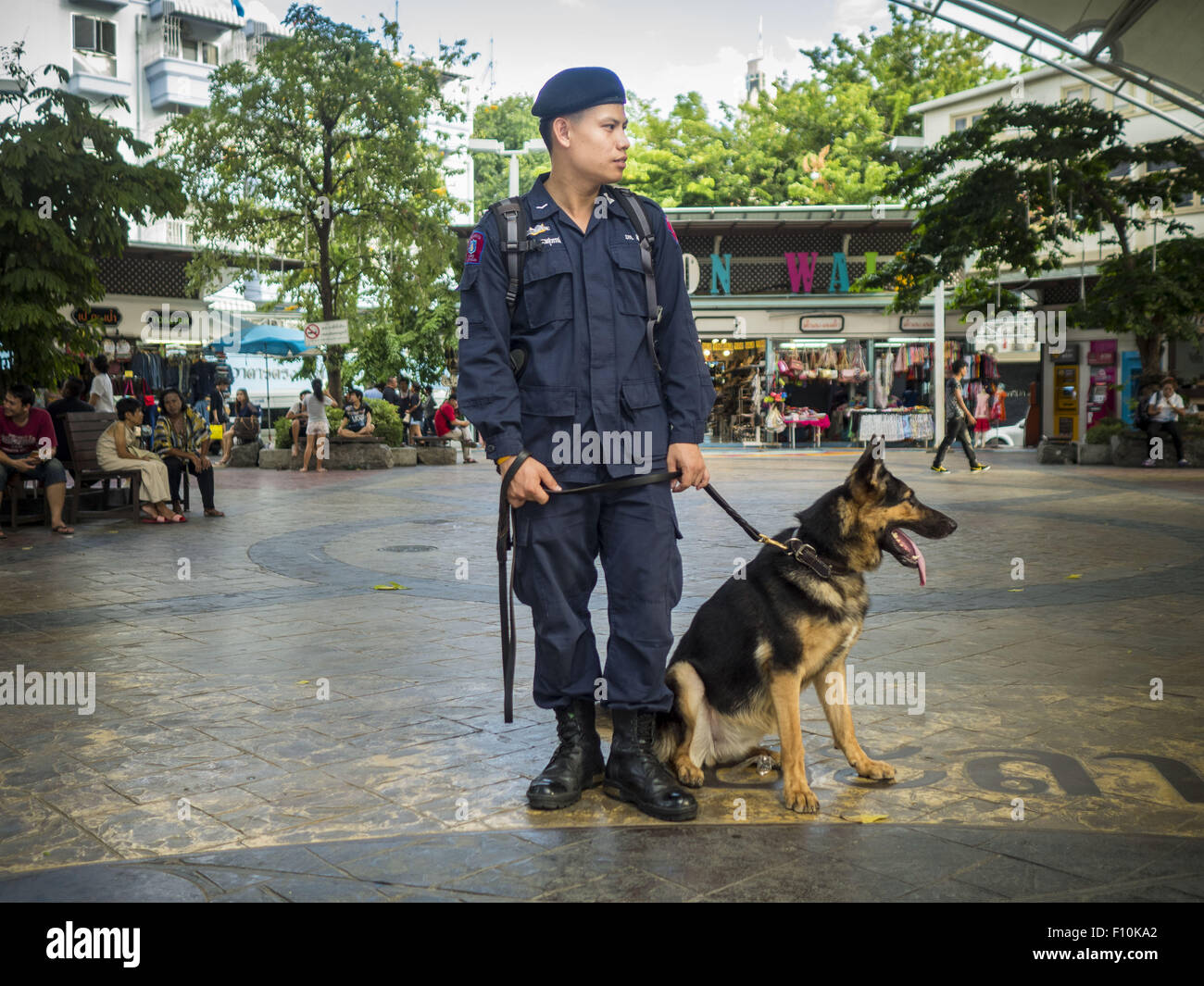 Bomb sniffing dogs hi-res stock photography and images - Alamy