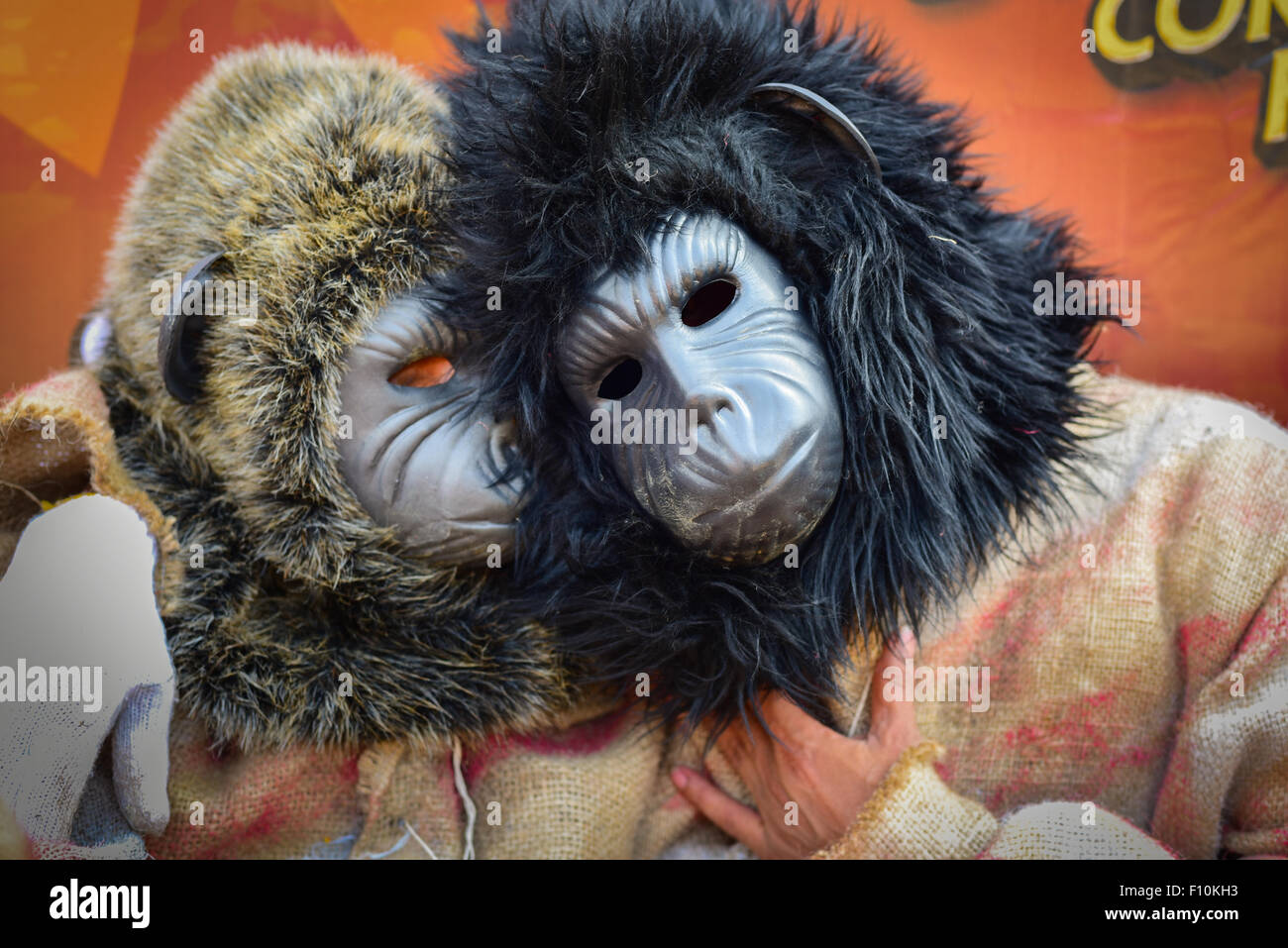 Men in ape costumes during public carnival: Festival Sarongge 2015 in ...