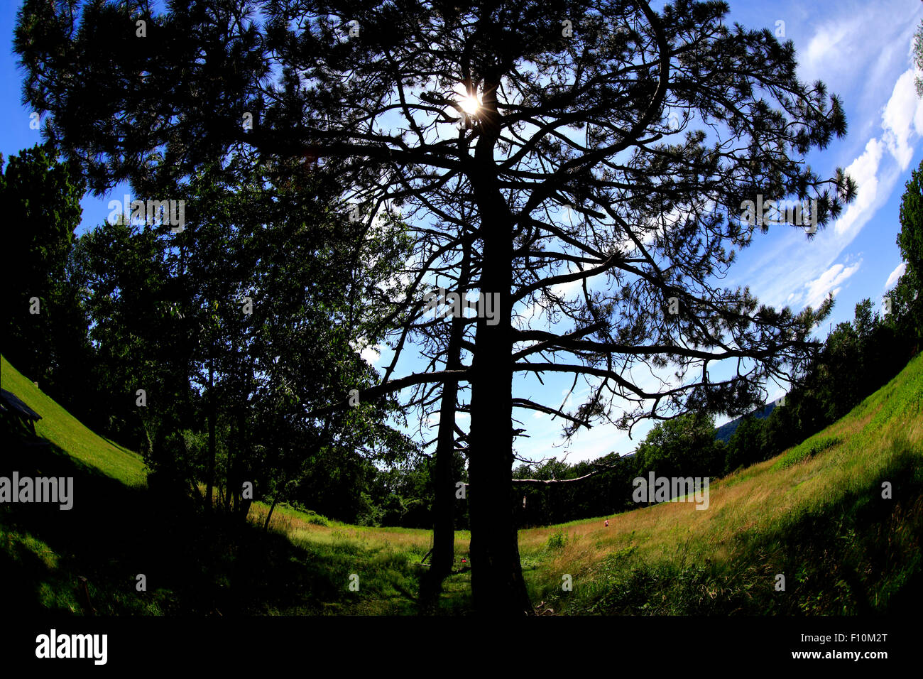 Lenoir silhouette hi-res stock photography and images - Alamy