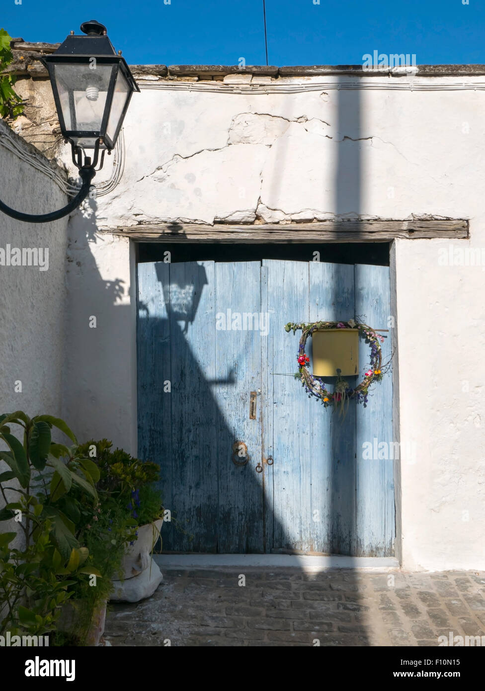 Cretan wild flower hi-res stock photography and images - Alamy