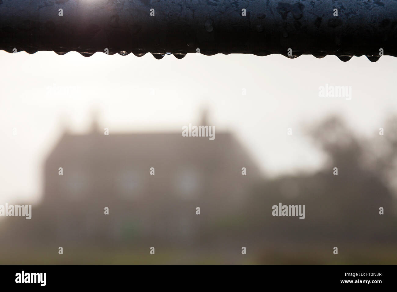 Morning dew drip drips dripping on gate mist misty fog foggy weather ...