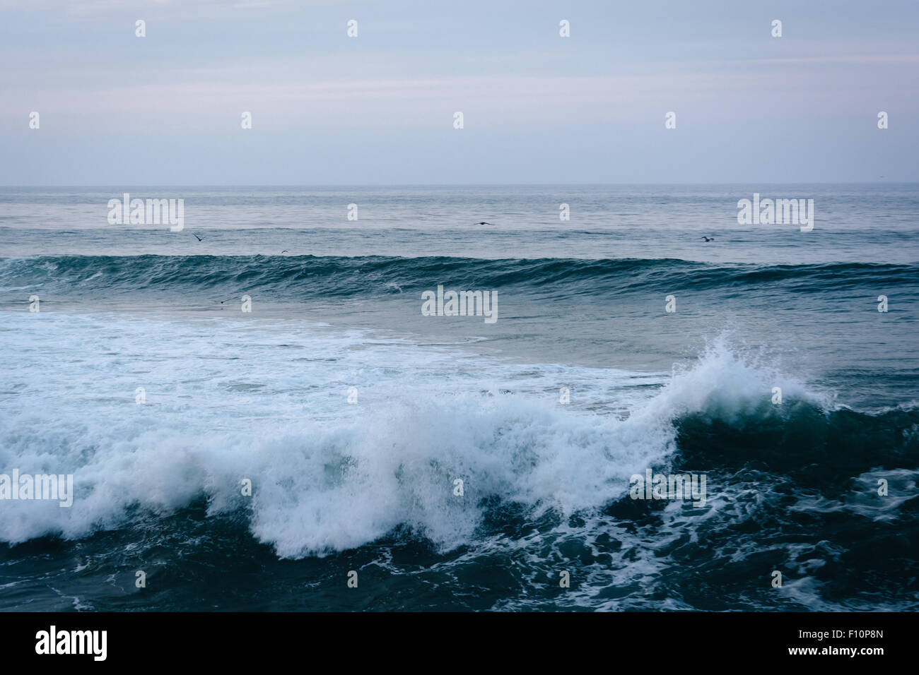 Large blue pacific ocean waves hi-res stock photography and images - Alamy