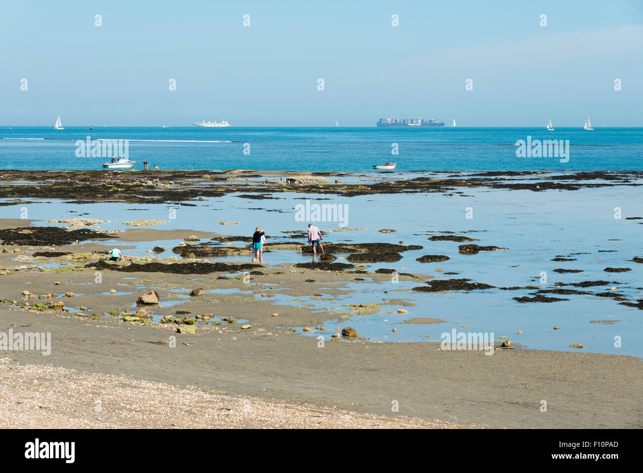 People beachcombing at low tide at Bembridge, Isle of Wight UK with ...