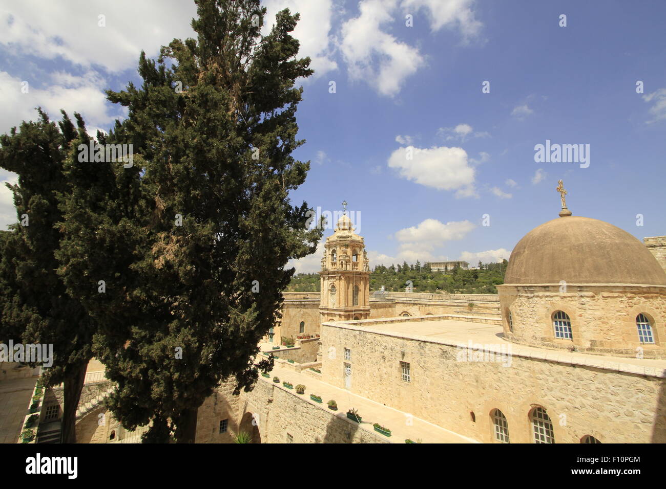 Israel, Jerusalem, Cypress trees at the Greek Orthodox Monastery of the ...