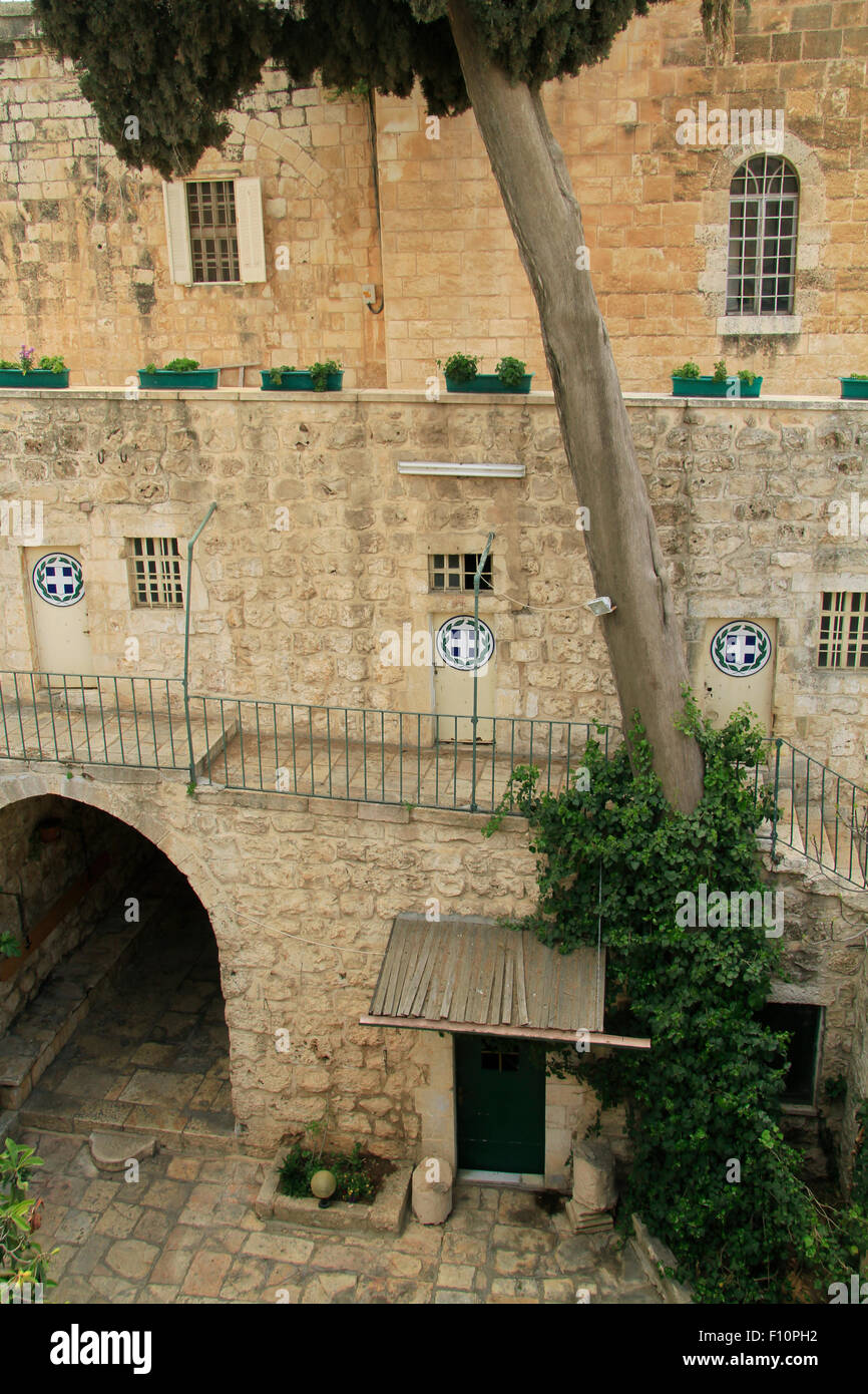 Israel, Jerusalem, Cypress tree at the Greek Orthodox Monastery of the ...