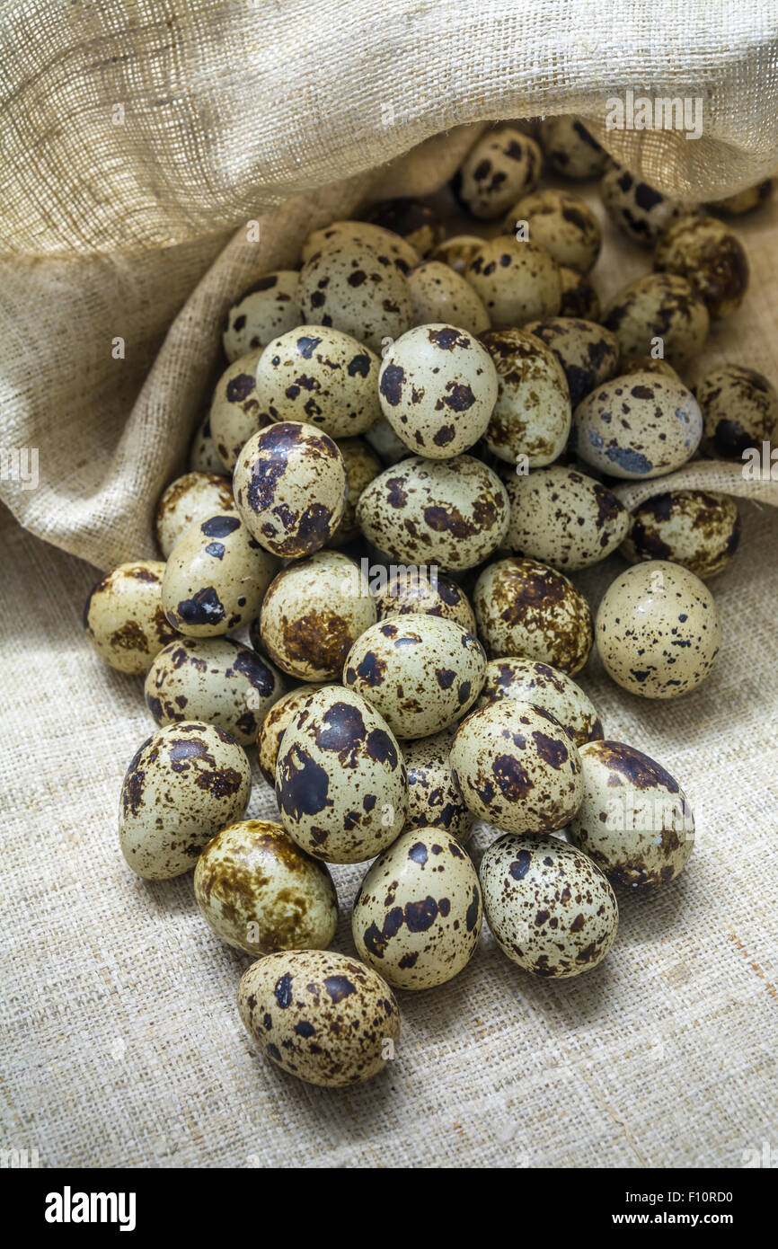 Egg dumping hi-res stock photography and images - Alamy