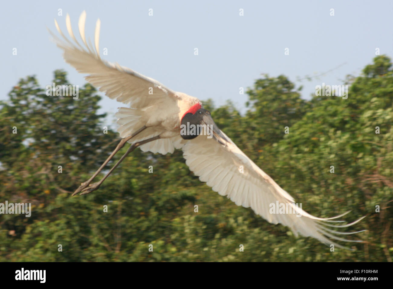 Barry chapman hi-res stock photography and images - Alamy