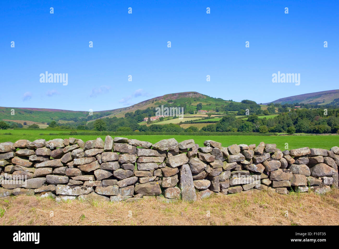 Rudland rigg viewed over a traditional dry stone wall in Farndale In ...