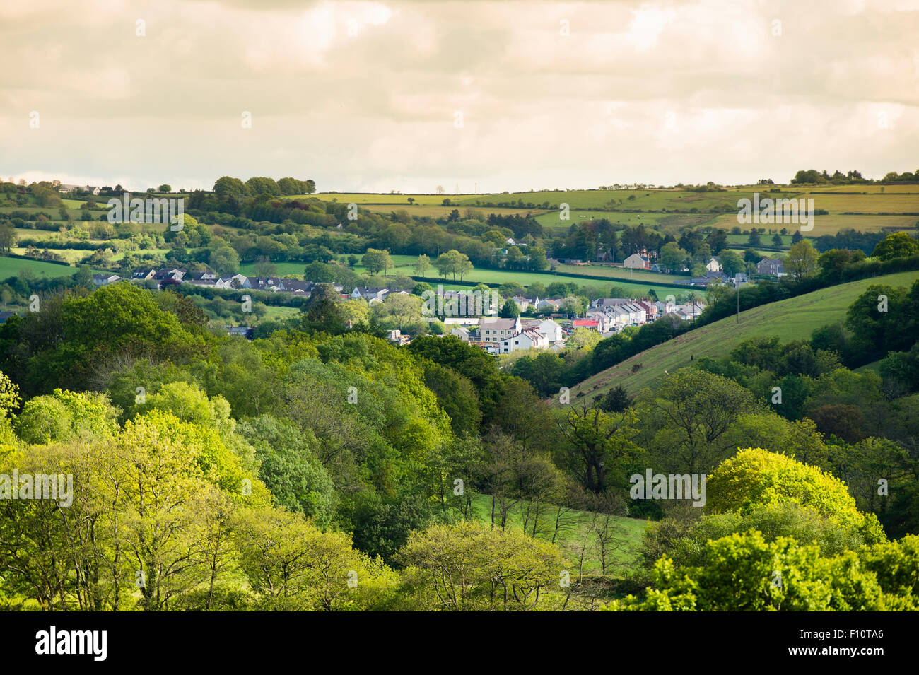 Pencader High Resolution Stock Photography and Images - Alamy