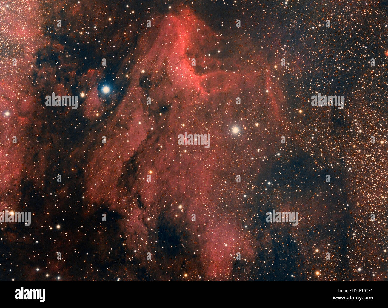 Pelican Nebula (IC 5070, IC 5067) - an emission nebula in the ...