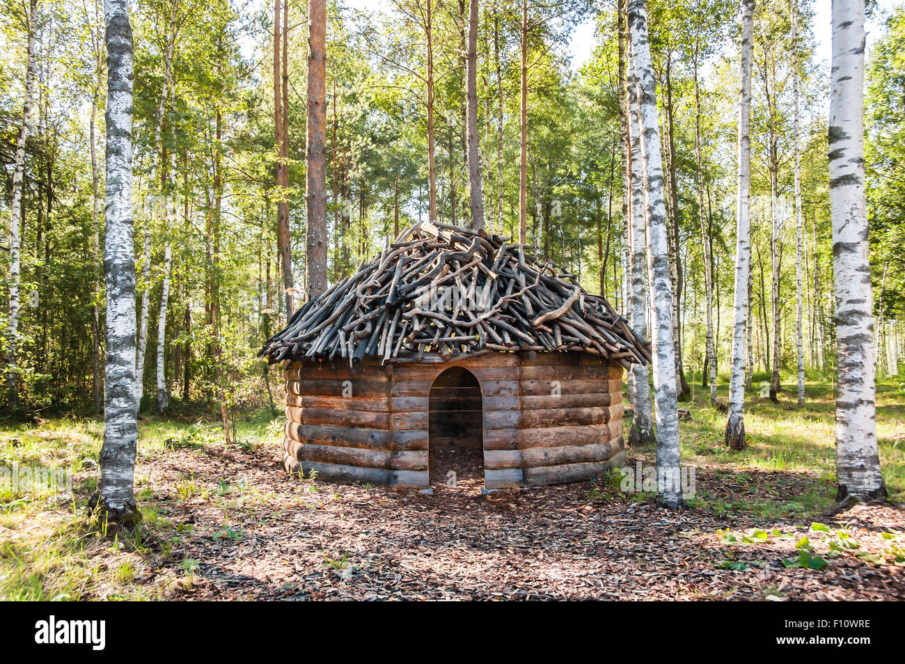 Hut made of tree beams and branches in sunny birch forest in summer ...