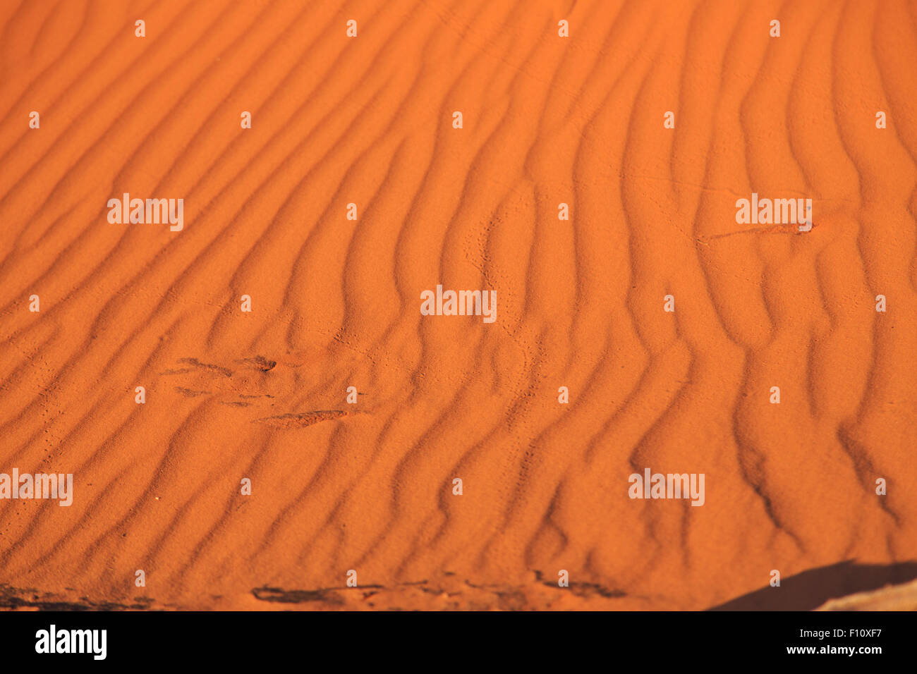 Sand dunes texture in Jordanian desert Stock Photo - Alamy