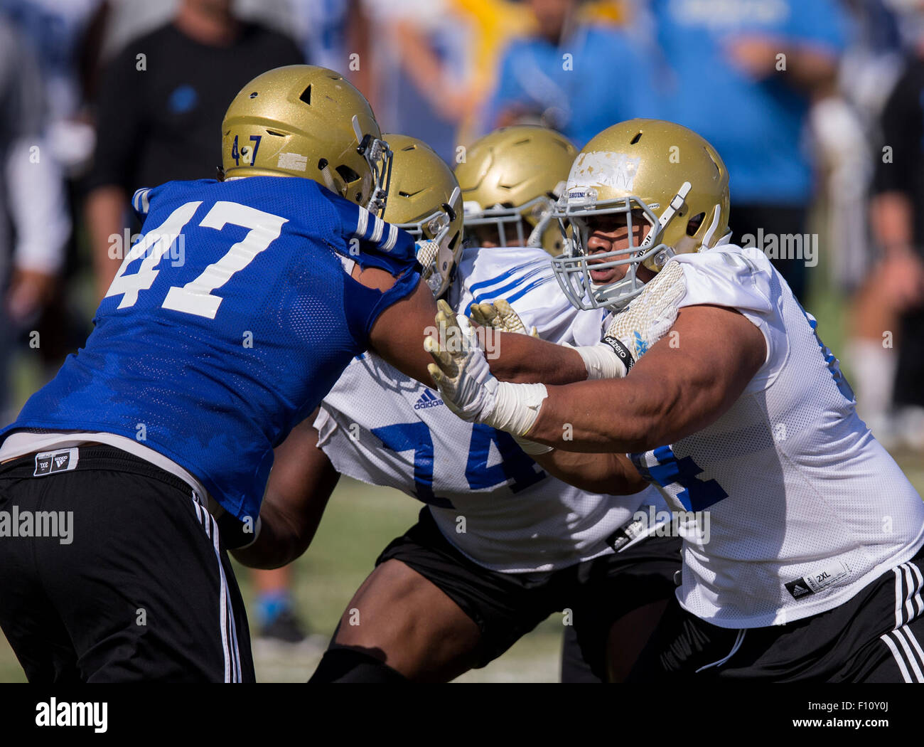 San Bernardino, CA. 18th Aug, 2015. UCLA offensive lineman(64) Fred Ula ...