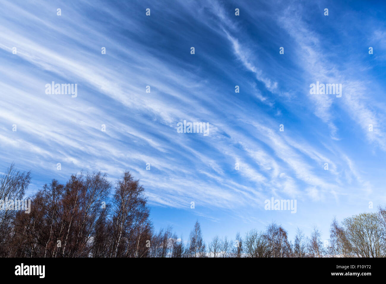 Cirrus clouds formation natural blue hi-res stock photography and ...