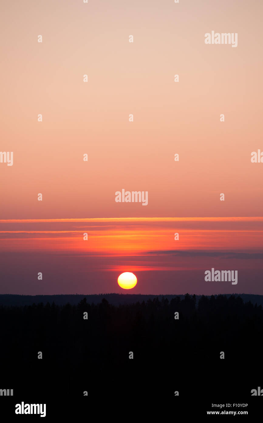 Sun setting over forest Stock Photo - Alamy