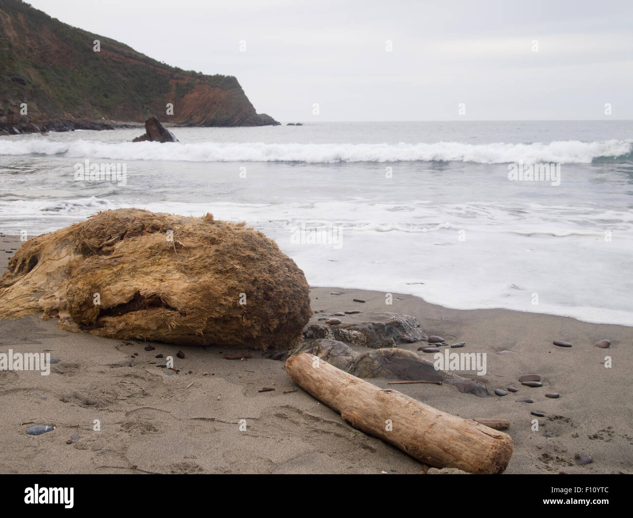 Sticks at Bahinas beach Stock Photo - Alamy