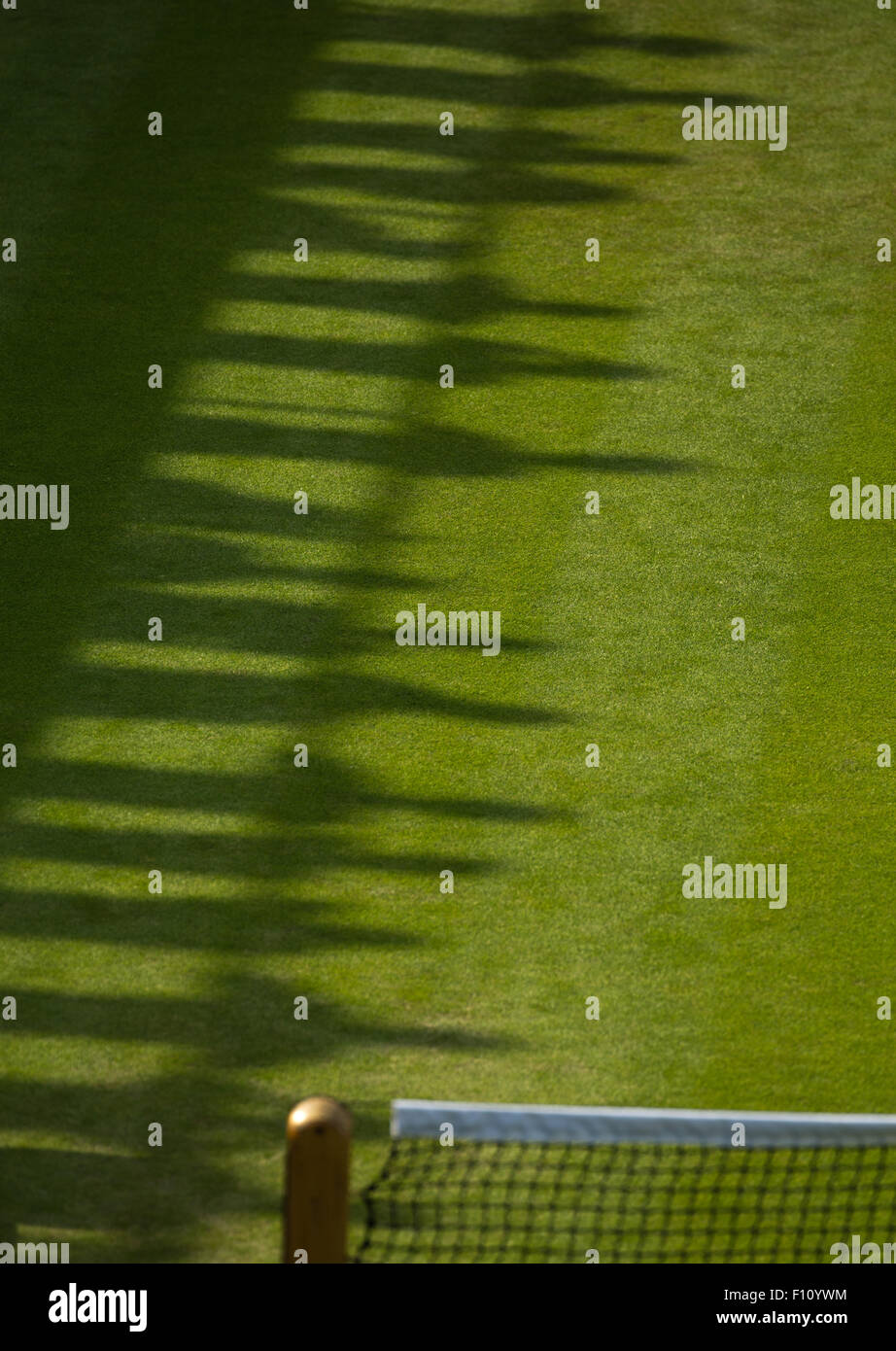 Shadows of spectators at Wimbledon Stock Photo - Alamy