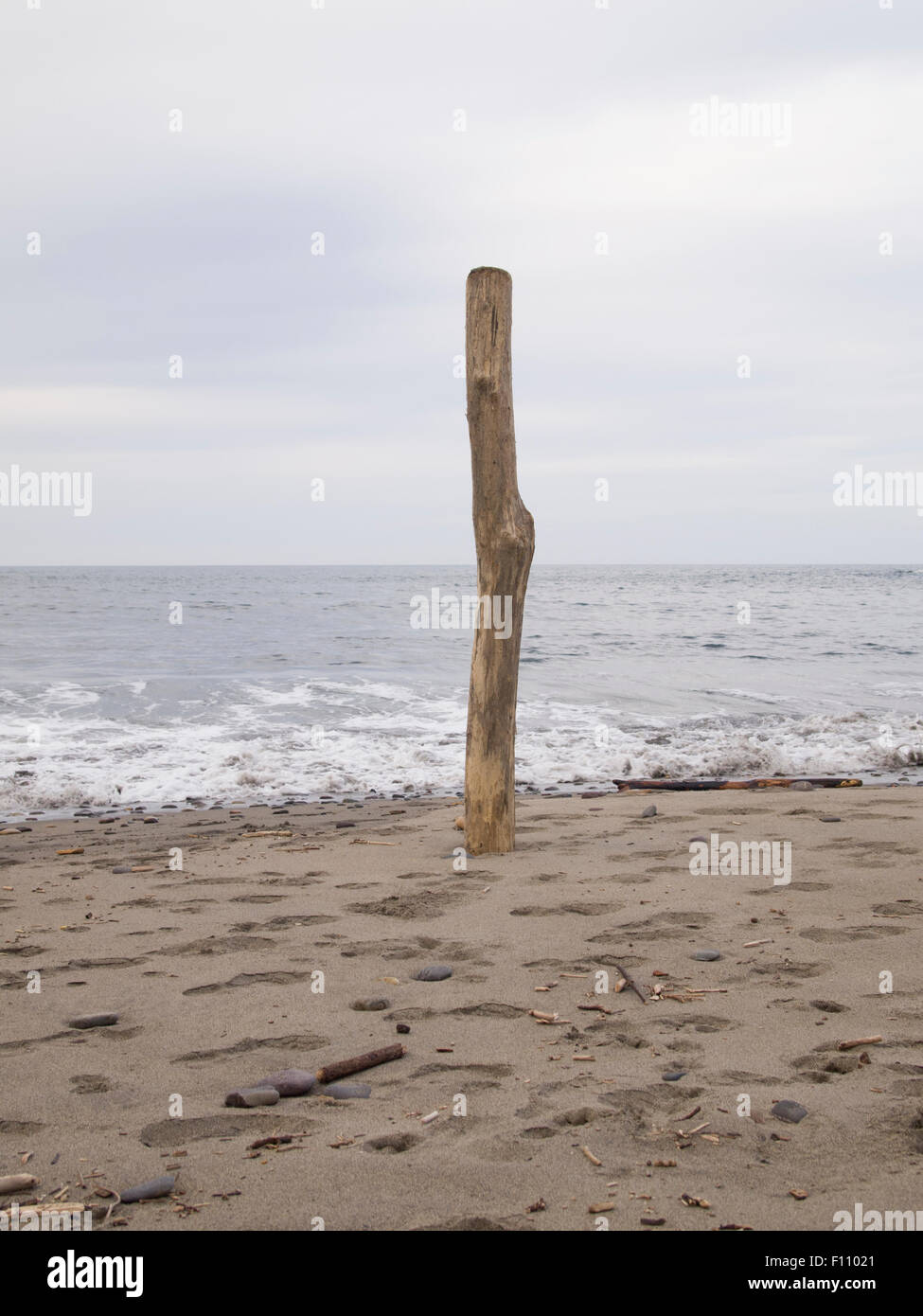 Sticks at Bahinas beach Stock Photo - Alamy