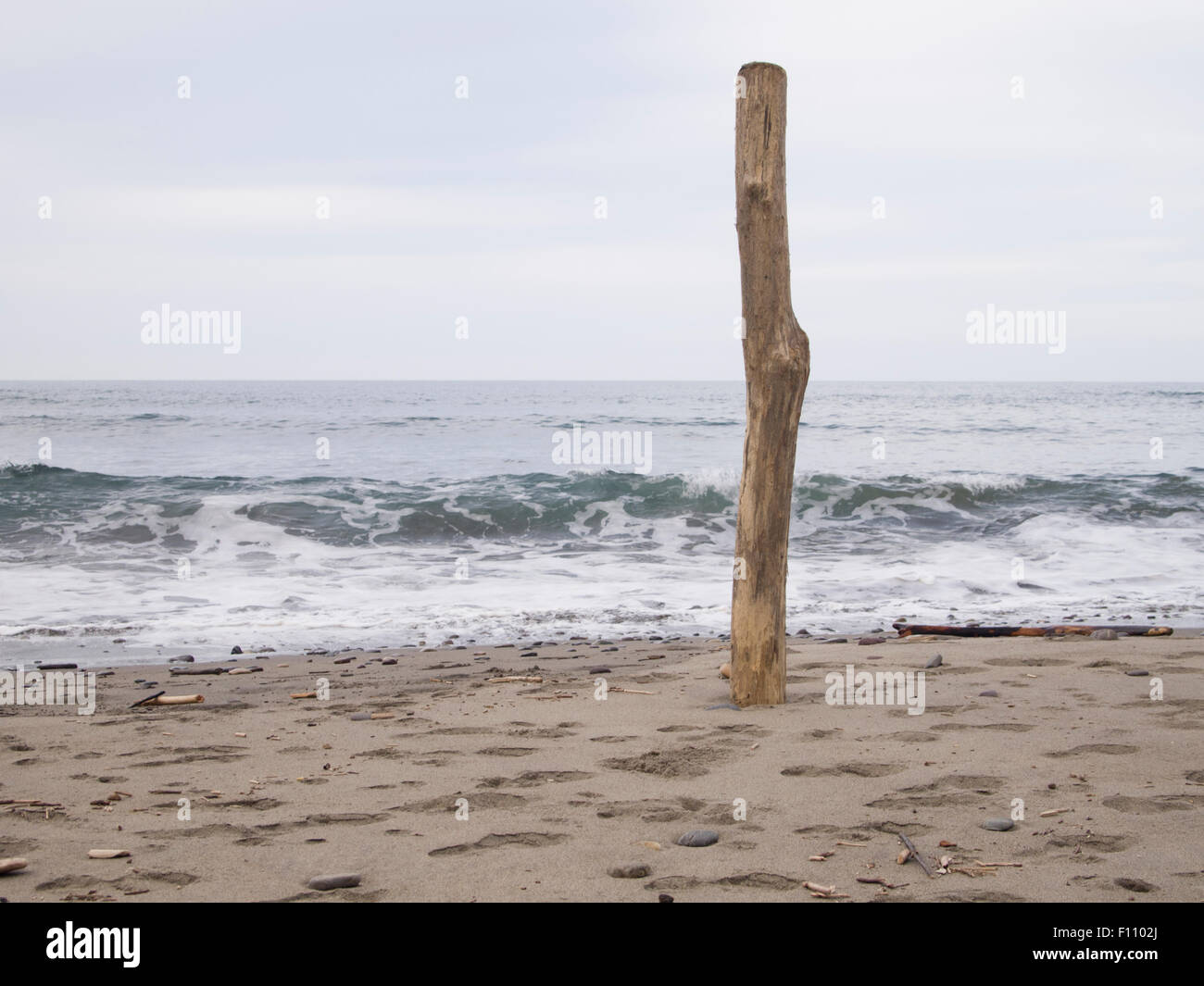 Sticks at Bahinas beach Stock Photo - Alamy