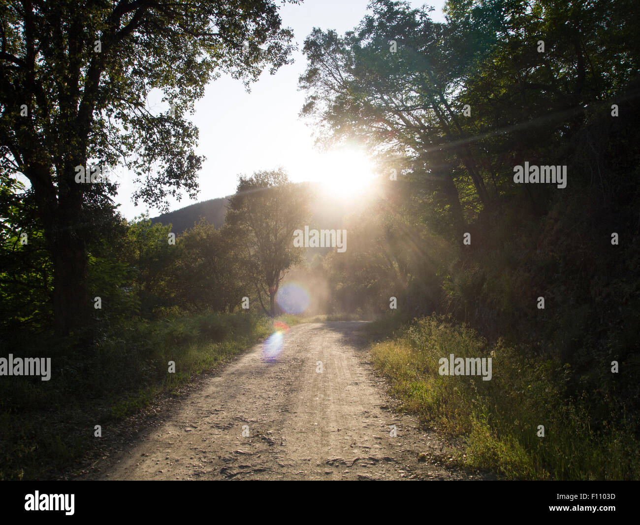 Sunlight at path Stock Photo - Alamy